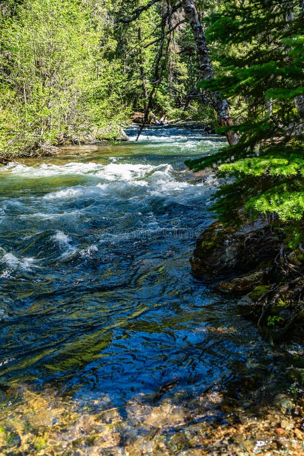 Chinook Pass Cold Stream Stock Photos - Free & Royalty-Free Stock ...