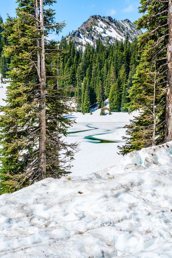 Chinook Pass Snowy Stream 2 Stock Photo - Image of pass, state: 322401708