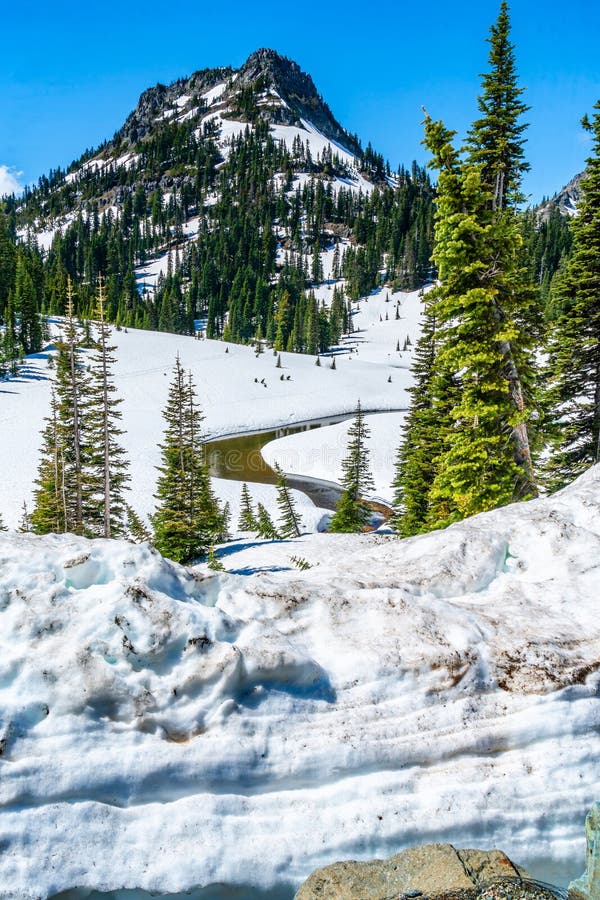 Chinook Pass Snowy Stream 5 Stock Photo - Image of cold, trees: 323318834