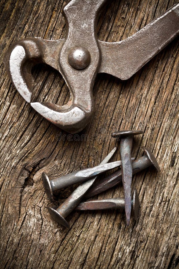 Chiodi Handmade Isolati Con Il Percorso Di Residuo Della Potatura ...