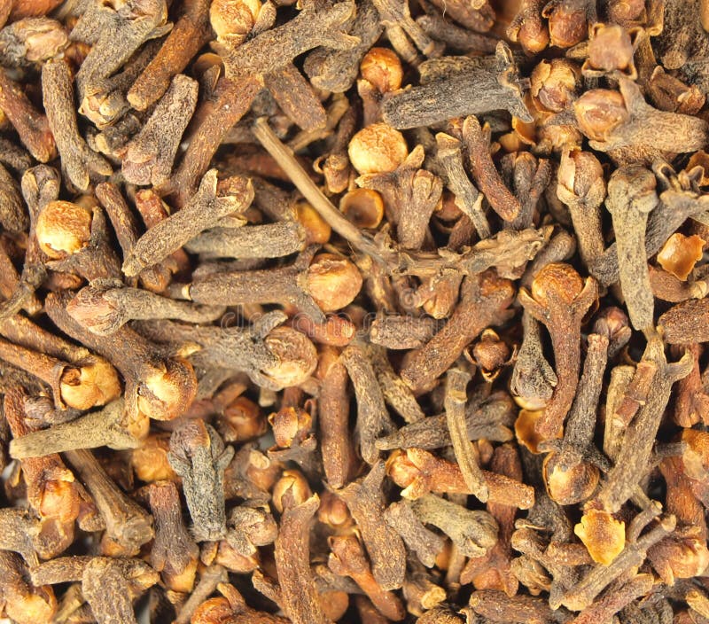 Chiodo di garofano immagine stock. Immagine di piccante - 13790113