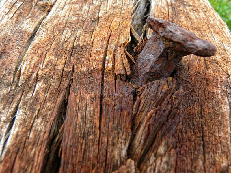 Chiodo Arrugginito In Legno Marcio Fotografia Stock - Immagine di barca ...