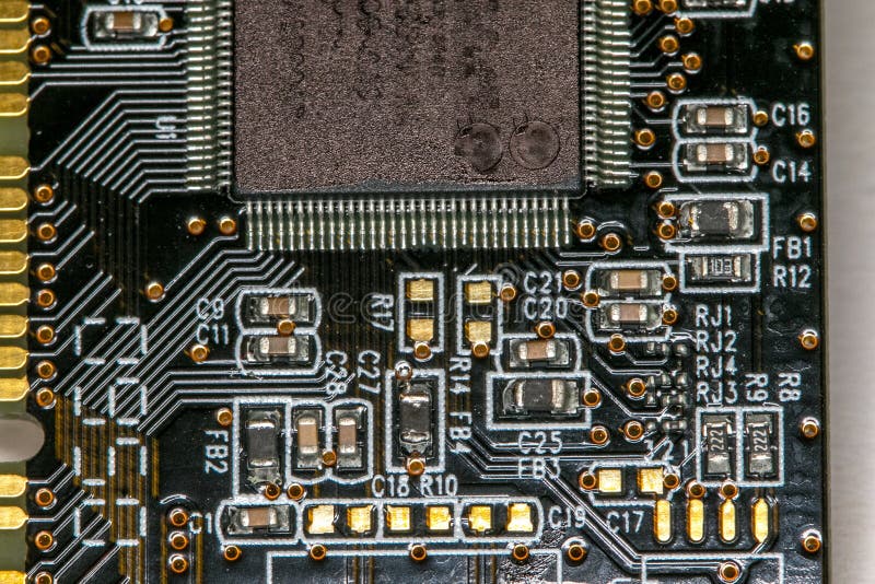 Chip Macro stock image. Image of macro, chip, living - 65919183