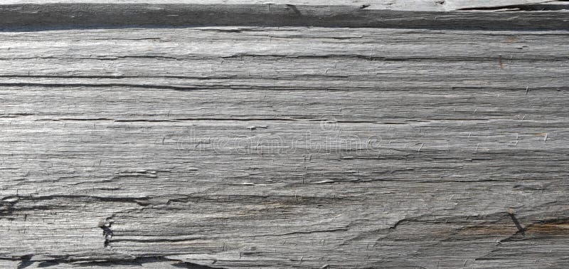 A Chip of an Old Rough Gray Log with Notches and Cracks Stock Image ...