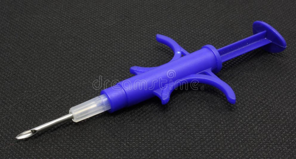 Animal chip syringe. stock photo. Image of medical, equipment - 47083008
