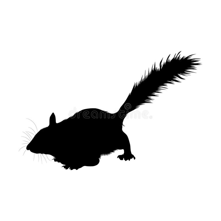 Chipmunk Tamias Stock Illustrations 21 Chipmunk Tamias Stock Illustrations Vectors And Clipart
