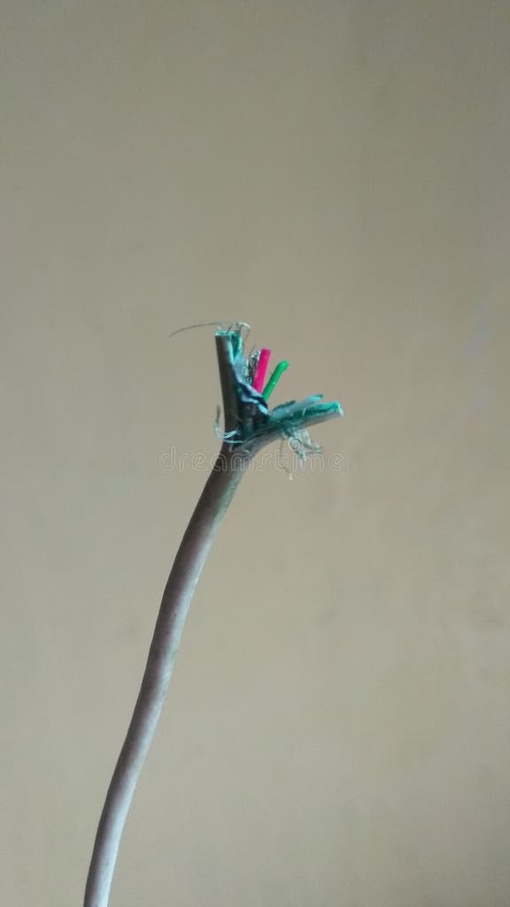 Chipped cable stock photo. Image of illustrations, print - 229585918