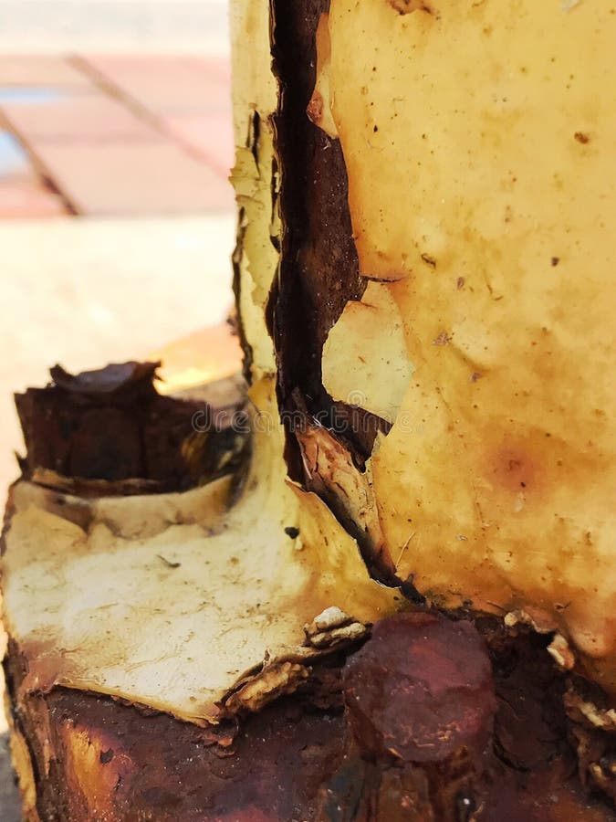 Chipped Paint stock image. Image of fire, outside, objects - 98264537