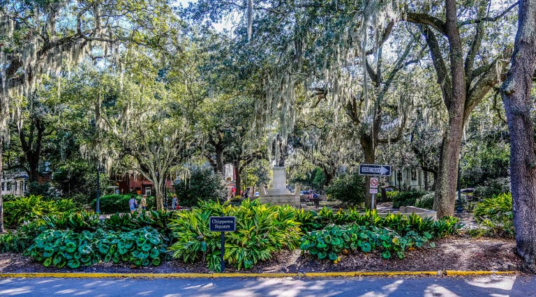 South Chippewa Potatoes Stock Photos - Free & Royalty-Free Stock Photos ...