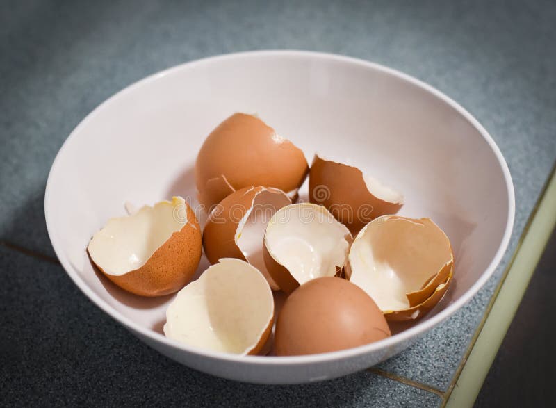 Egg shell stock photo. Image of food, shiver, provision - 115345356