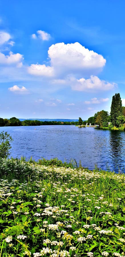 Chipstead Lake Stock Photos - Free & Royalty-Free Stock Photos from ...