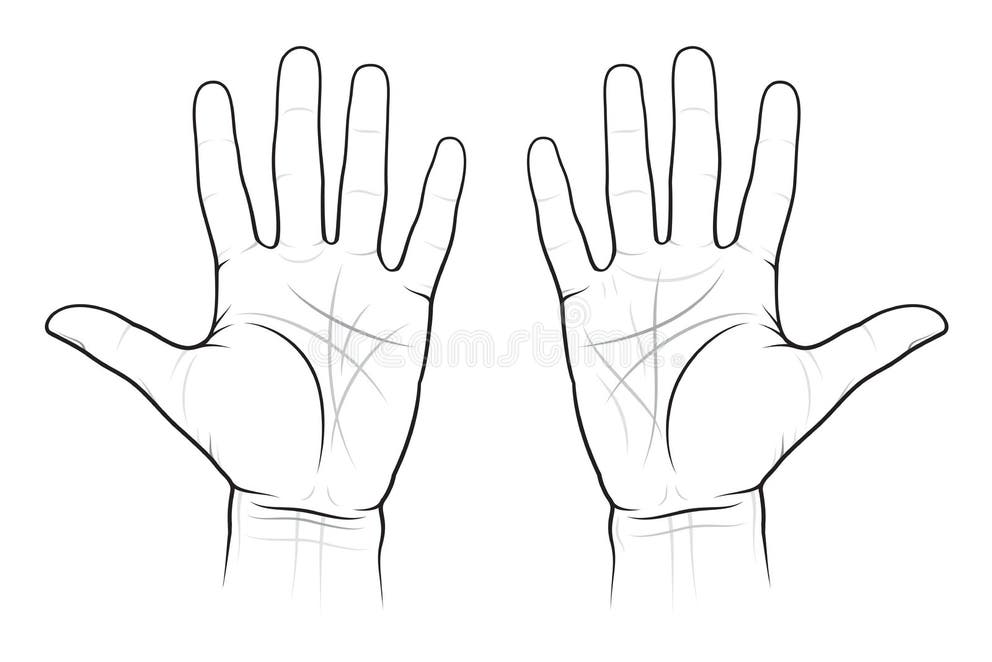 Chiromancy Chart of the Palms Stock Vector - Illustration of carved ...