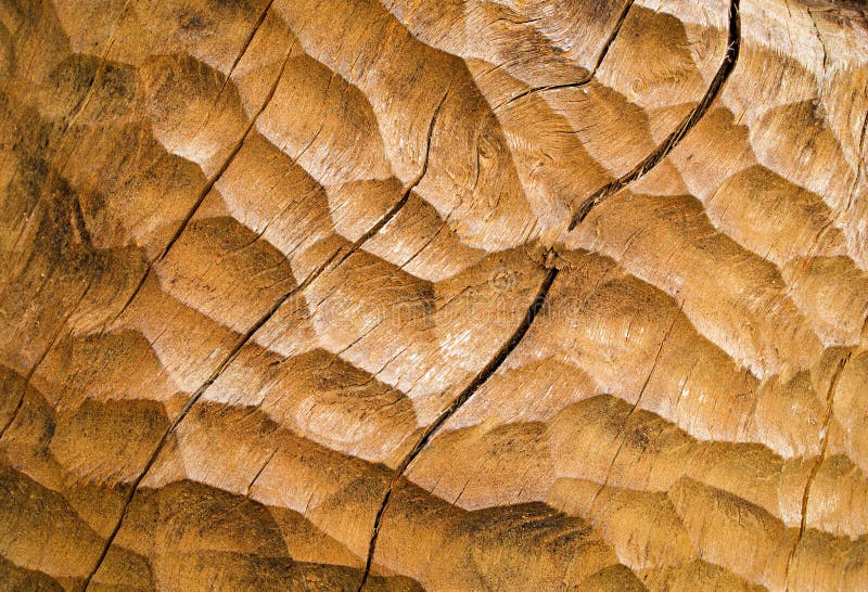 Chiseled wood stock photo. Image of architectural, plate - 52299456