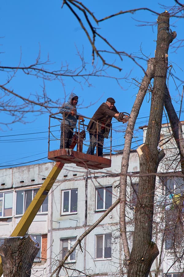 Chisinau, MOLDOVA - 24 January, 2019: Worker in Bucket with a Chainsaw ...