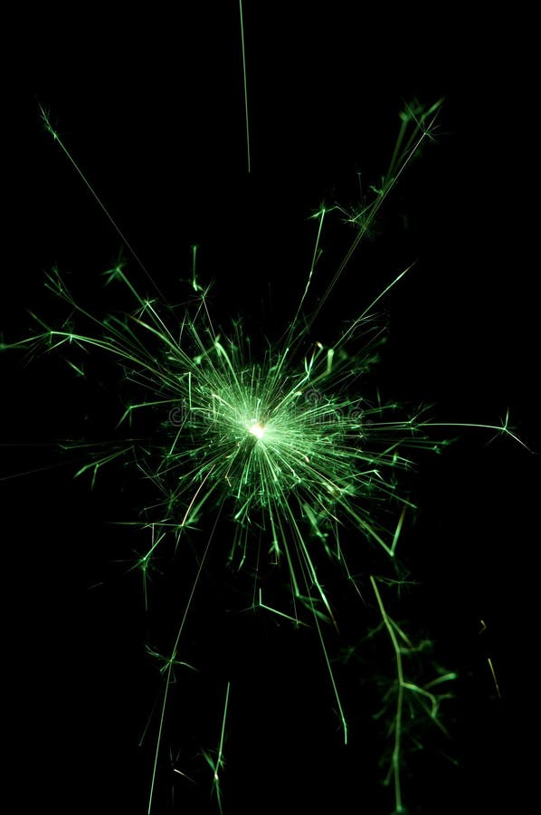 Flores Chispa Brillo Naturaleza