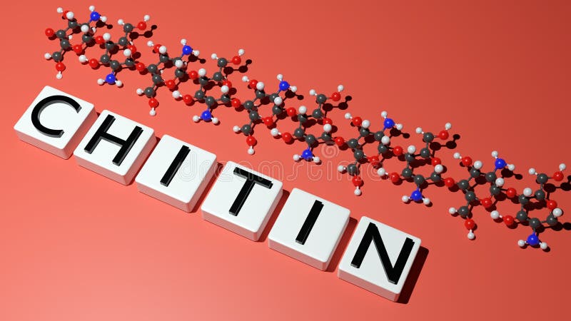 Chitin Molecules with Chitin Letters on the Dice Stock Illustration ...