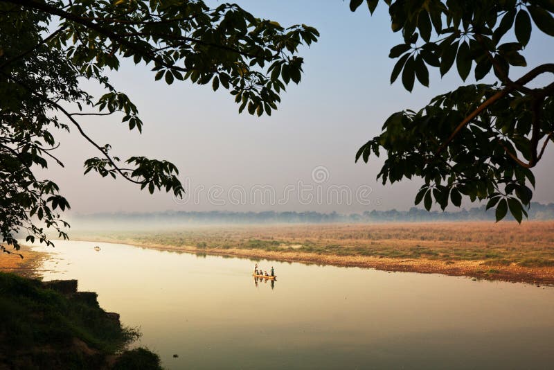 Chitvan stock image. Image of asia, nature, national - 54164089