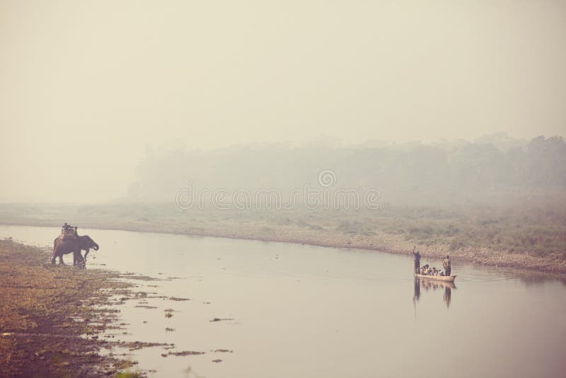 Chitvan stock image. Image of river, site, tree, sunrise - 54164141