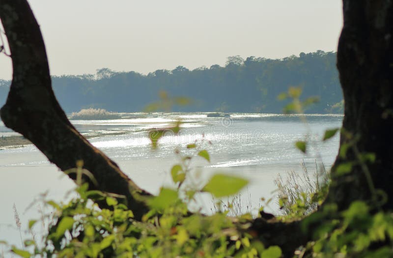Chitwan National Park, Nepal Stock Image - Image of edge, indigenous ...