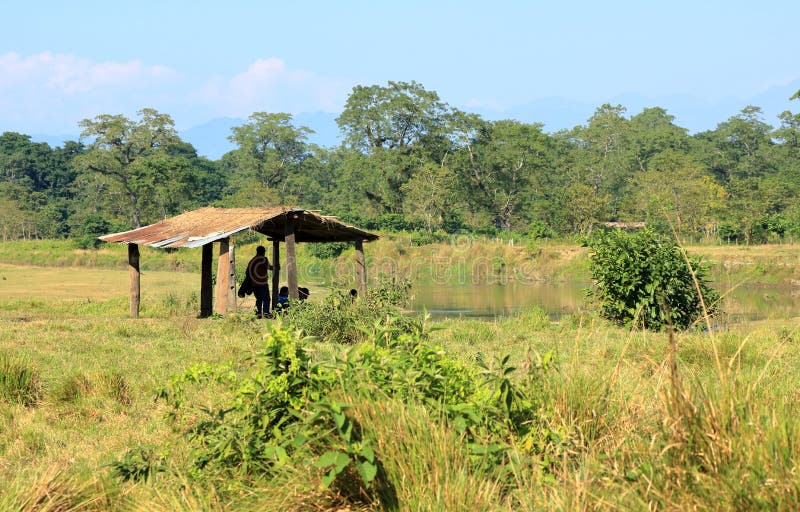Chitwan National Park, Nepal Stock Photo - Image of dawn, countryside ...