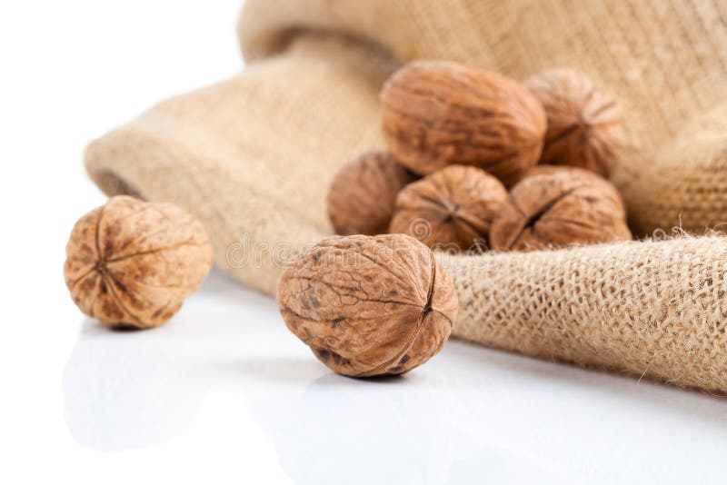 Chiuda in su della noce fotografia stock. Immagine di scoppio - 44669920
