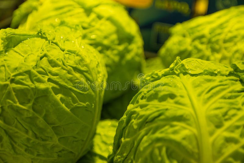 Chiuda Su Di Cavolo Verde in Un Mercato Immagine Stock - Immagine di ...