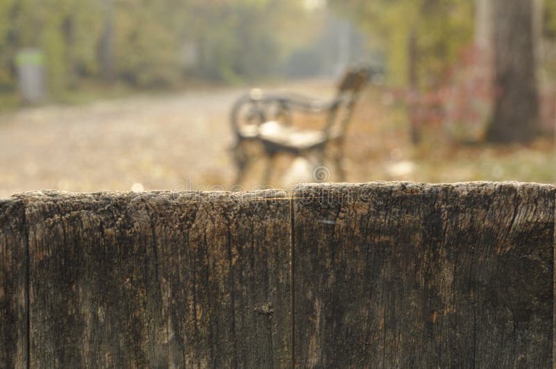 Chivato sobre la cerca foto de archivo. Imagen de chivato - 121292316