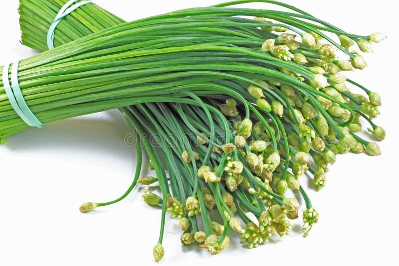 Chopped chives stock photo. Image of kitchen, chop, cooking - 28989180