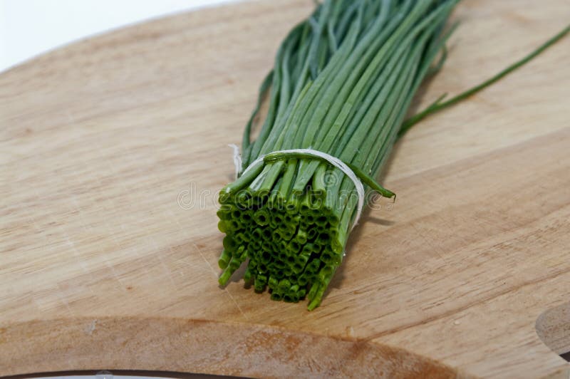 Chive background. stock photo. Image of studio, plant - 20581658