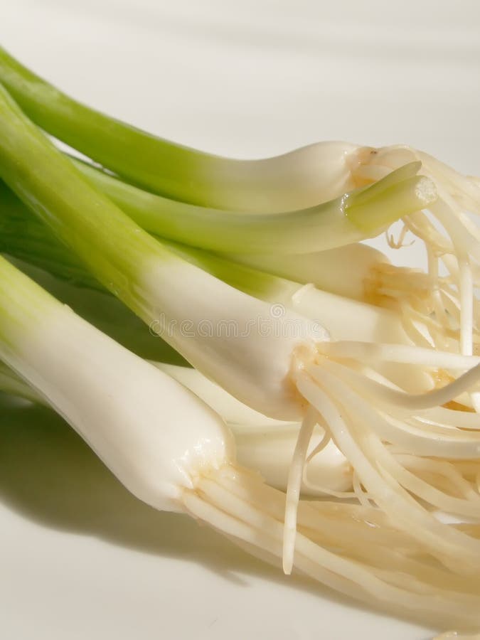 Chive stock image. Image of onions, stem, spices, grow - 661903