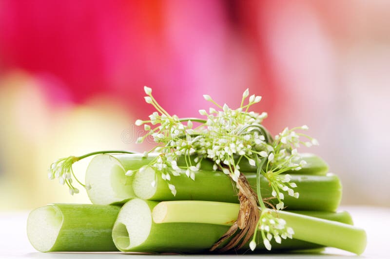 Chive Flowers (Dok Gui Chai) Stock Image - Image of fresh, bulb: 16375473