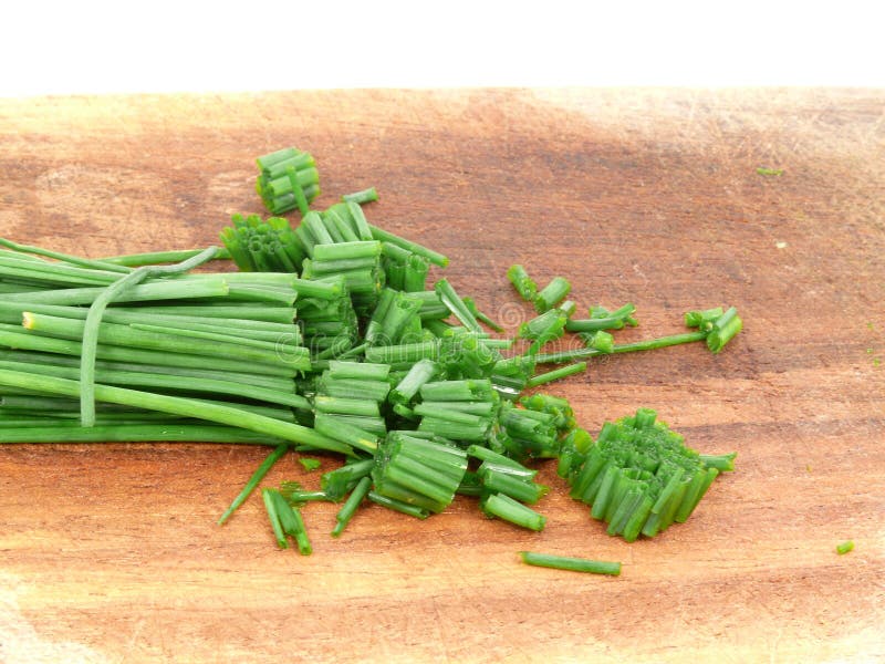 Chives stock photo. Image of grass, rushes, small, boards - 15011748