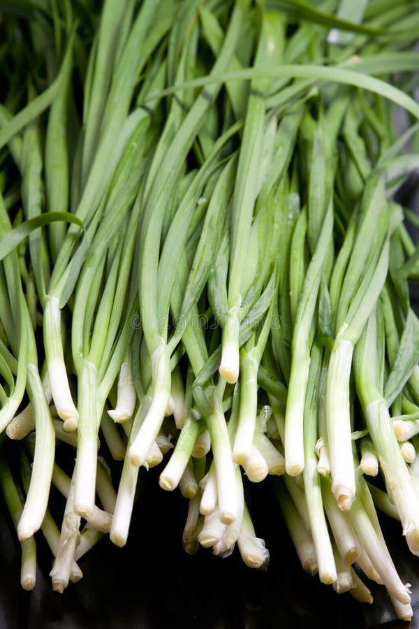 Chives stock image. Image of dietetic, root, green, spicy - 26823053