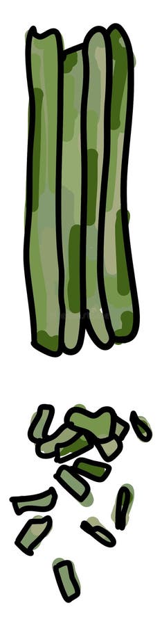 Chives Illustration, Drawing, Engraving, Ink, Line Art, Vector Stock ...