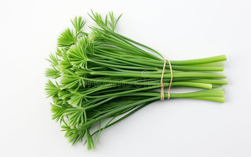 Chives White Background -Generative Ai Stock Illustration ...