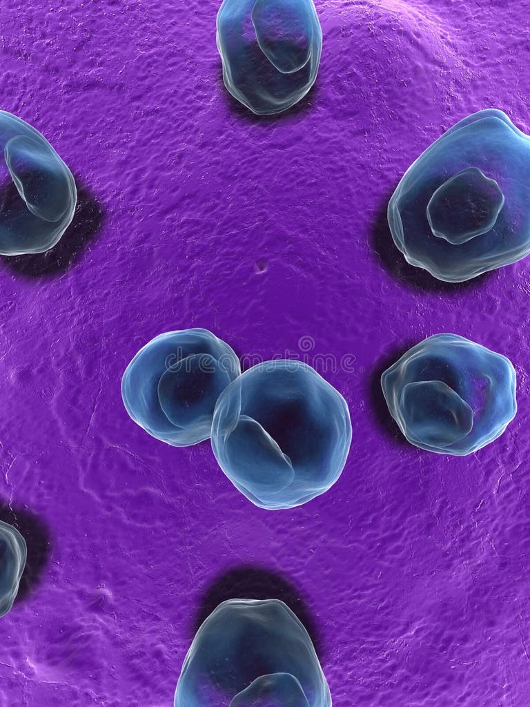 Chlamydiae Stock Illustrations – 44 Chlamydiae Stock Illustrations ...