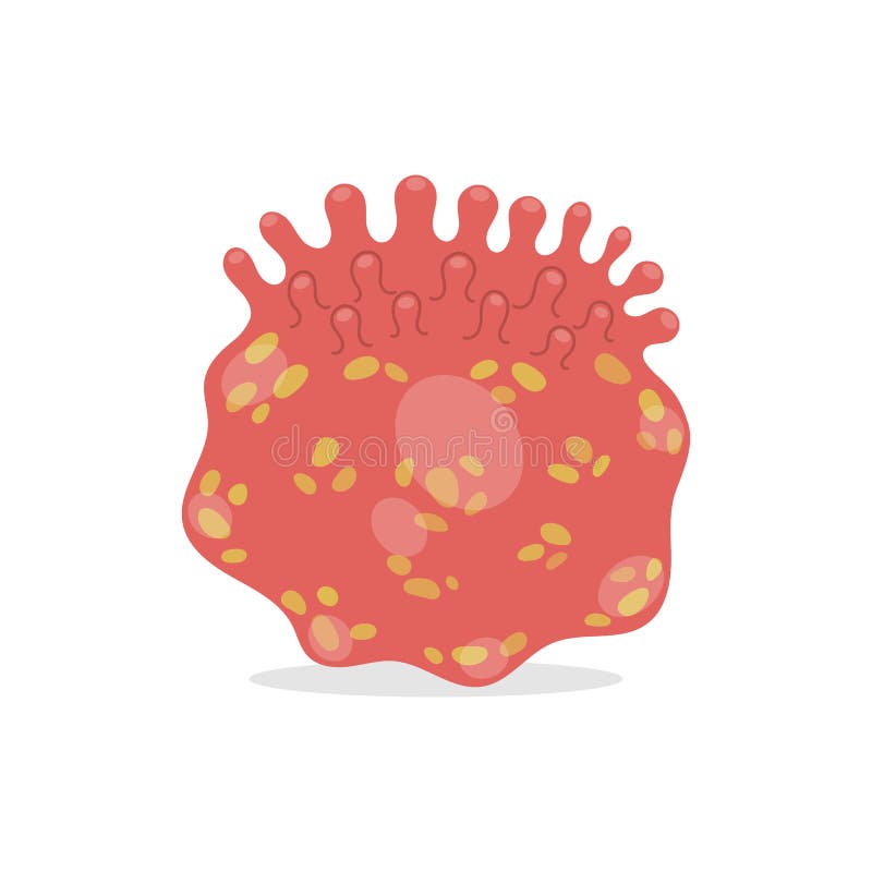 Chlamydia Disease Cell Vector Cartoon Colorless Stock Vector ...