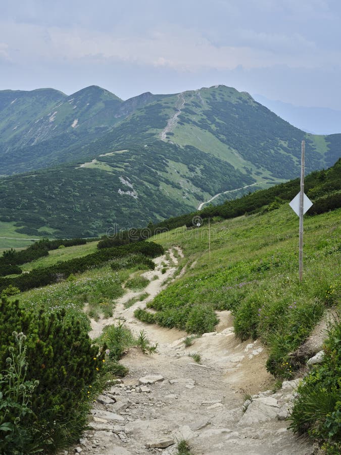 Chlee-Berg in Der Mala Fatra Slowakei Stockfoto - Bild von gras ...