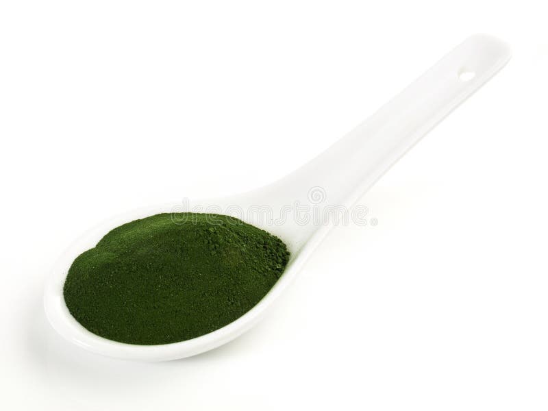 Chlorella Powder on a Spoon Isolated on White Background Stock Image ...