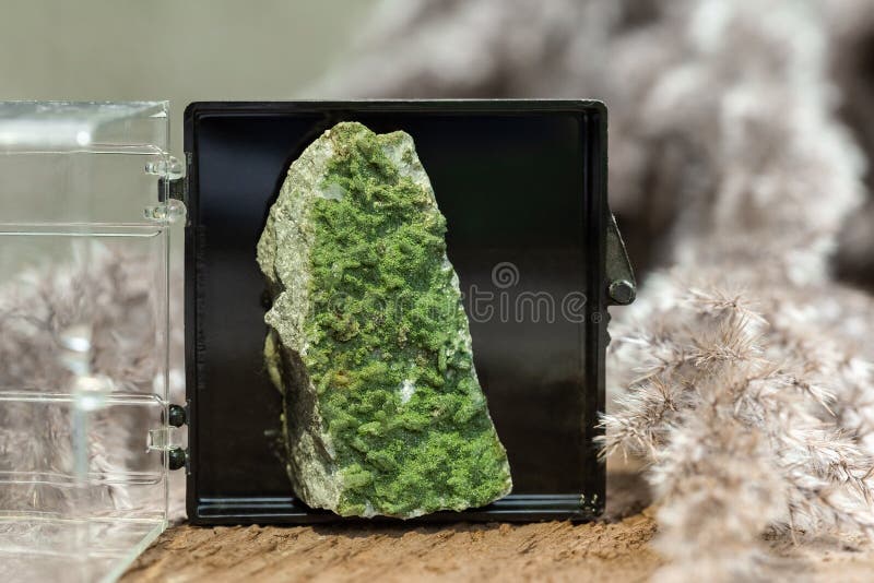 Chlorite with Quartz Crystalline Formation in Box Stock Photo - Image ...