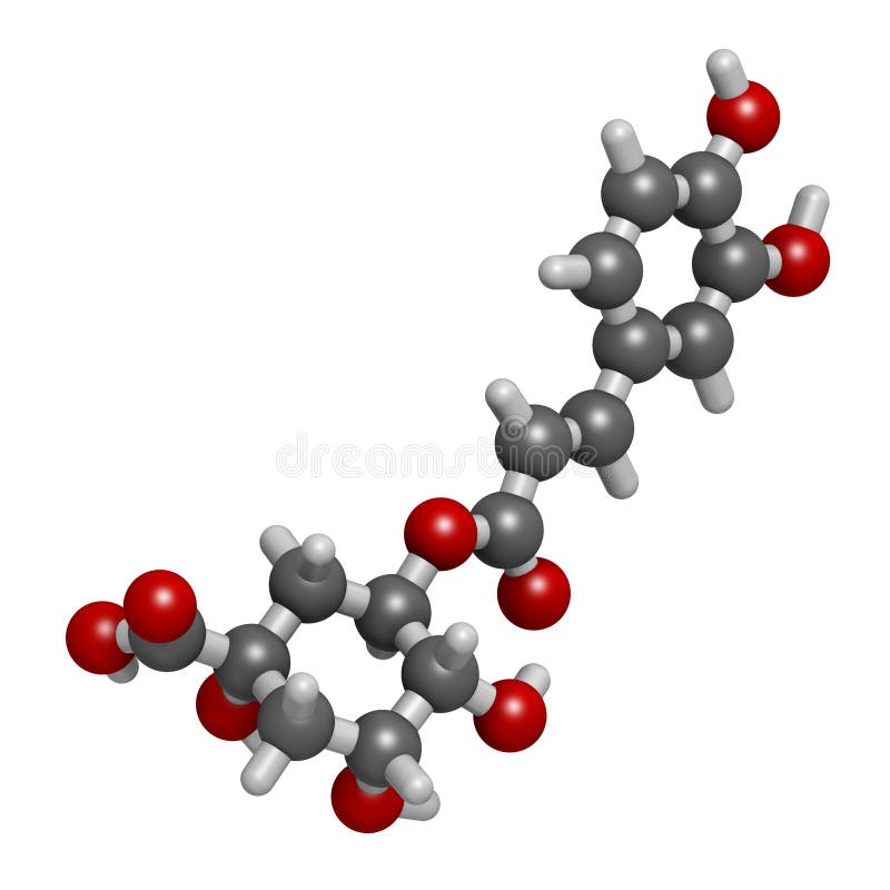 Chlorogenic Acid Herbal Molecule. 3D Rendering Stock Image ...
