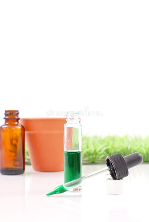Chlorophyll Extraction stock photo. Image of college - 21672004