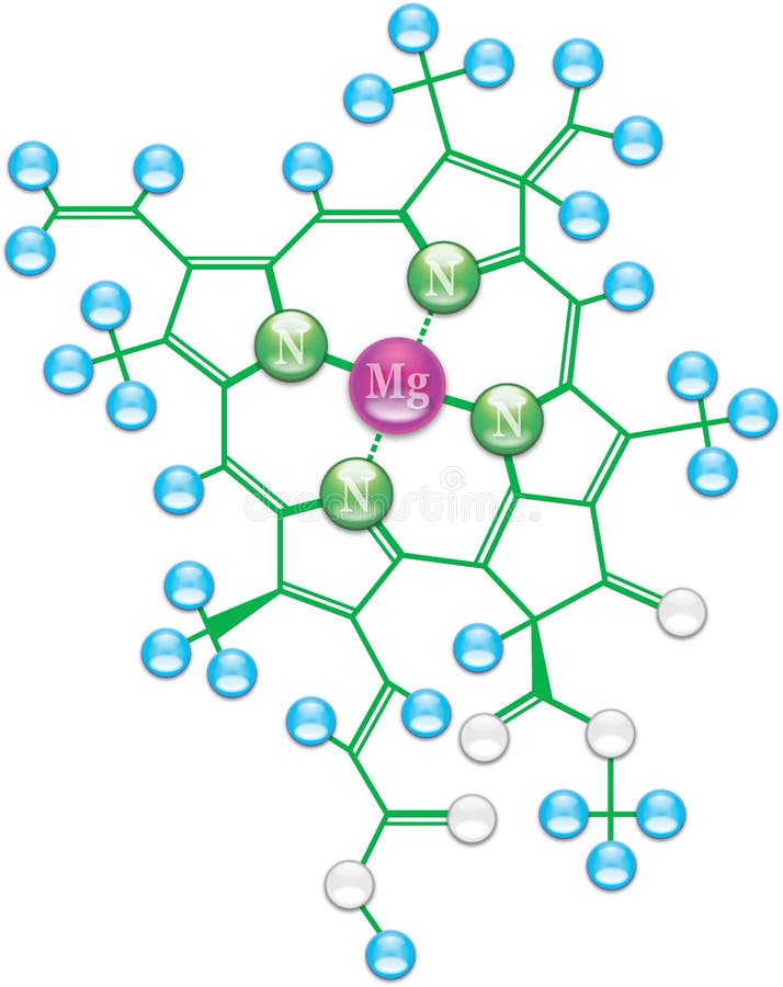 Chlorophyll formula I stock vector. Illustration of fresh - 16121175
