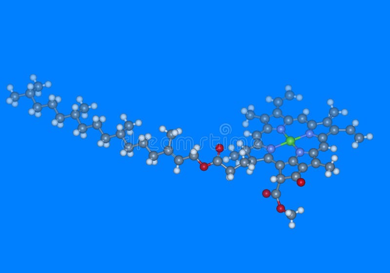 Chlorophyll Model Stock Illustrations – 390 Chlorophyll Model Stock ...