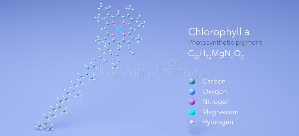 Chlorophyll a, Molecular Structures, Photosynthetic Pigment, 3d Model ...