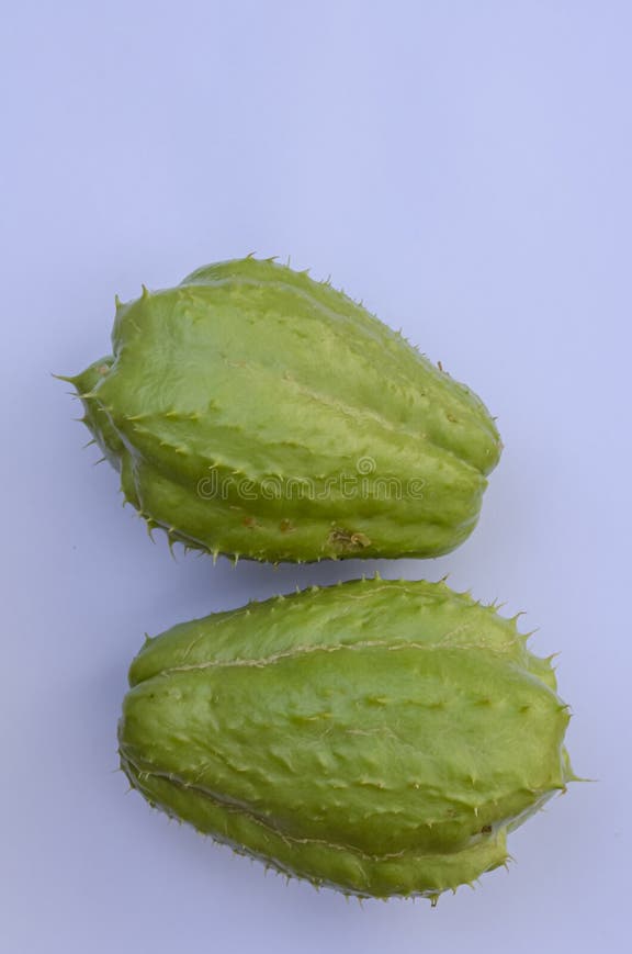 Cho Cho on a White Background Stock Photo - Image of natural ...