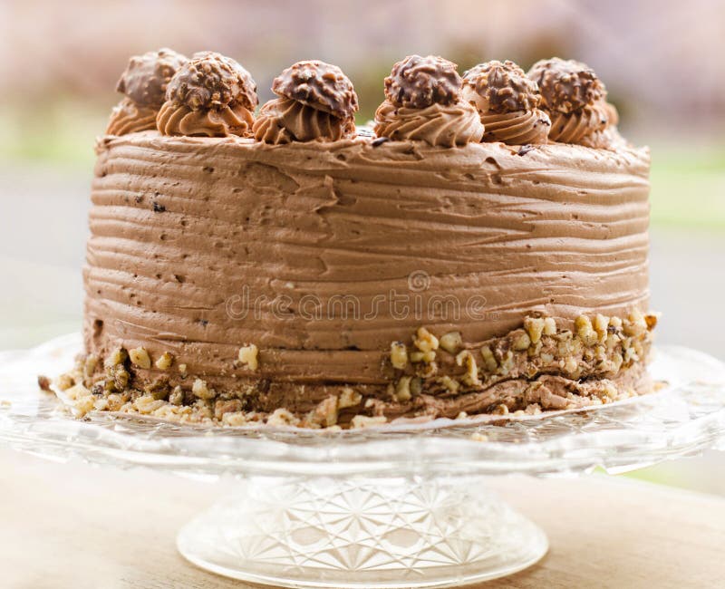 Chocolate cake side view stock image. Image of spring - 40844145