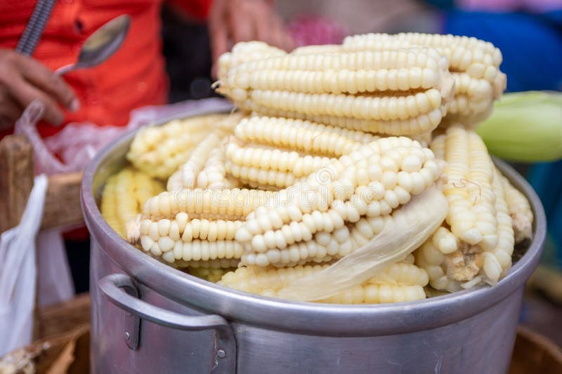 Choclo - Peruvian Steamed Corn Stock Image - Image of ethnicity, bunch ...