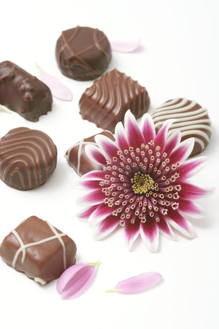 1,247 Chocolate Daisy Flower Stock Photos - Free & Royalty-Free Stock ...