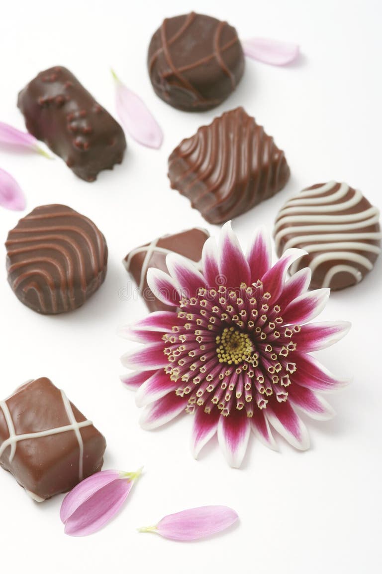 1,003 Chocolate Daisy Flower Stock Photos - Free & Royalty-Free Stock ...